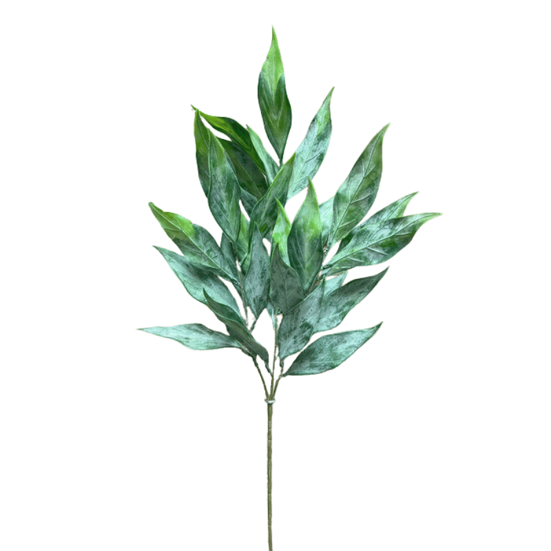 Frosted Green Lanceolate Leaf Spray – Wyrth Home